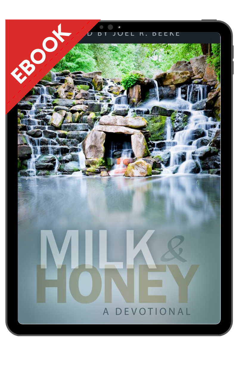 The purpose of the Bible - Dr. Joel Beeke